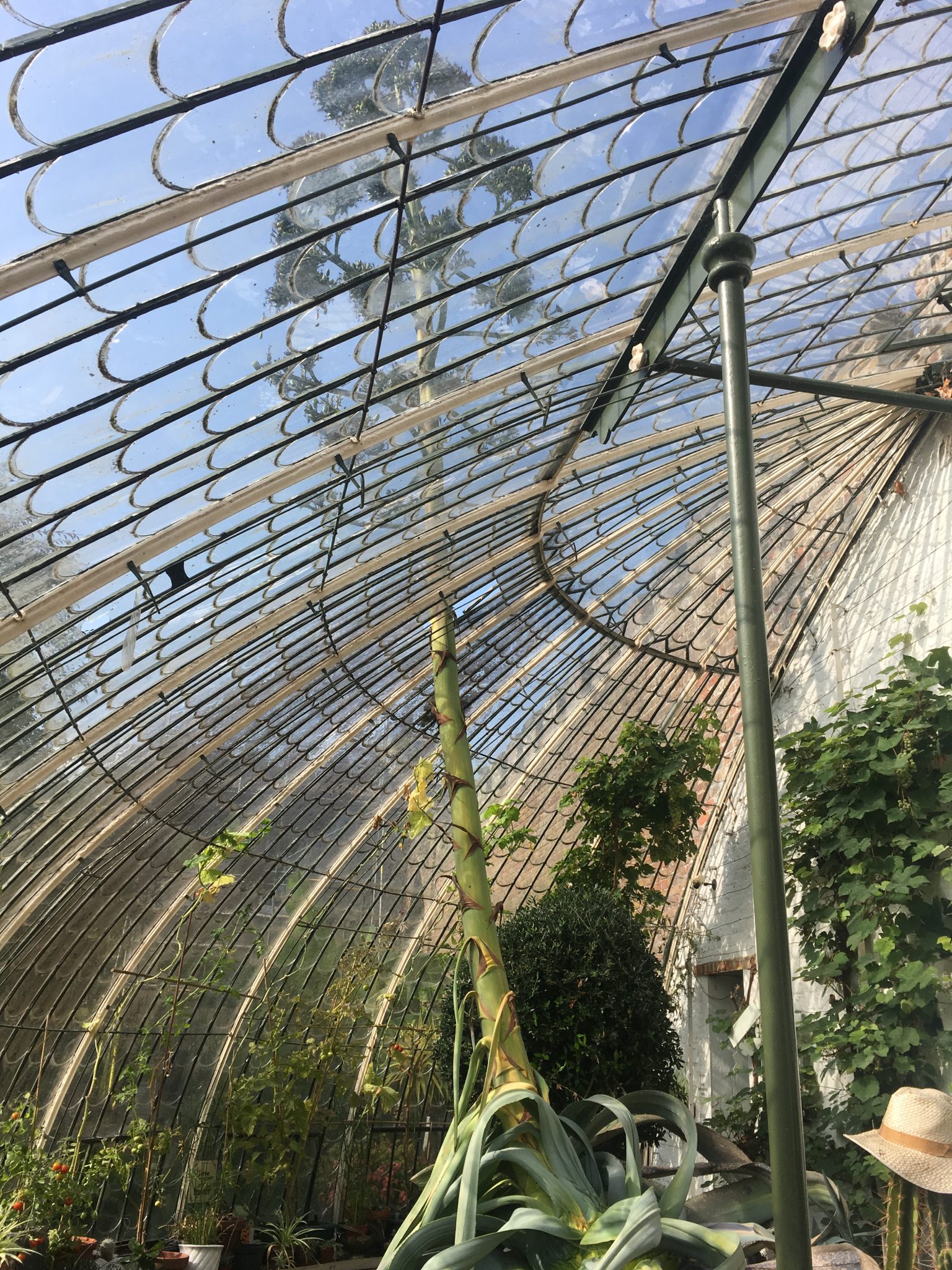 Michael Copeman | Historic Buildings Consultant